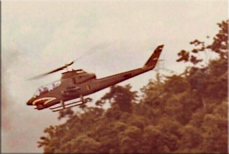 Index of /PhotoAlbums/Schmidgall Photos