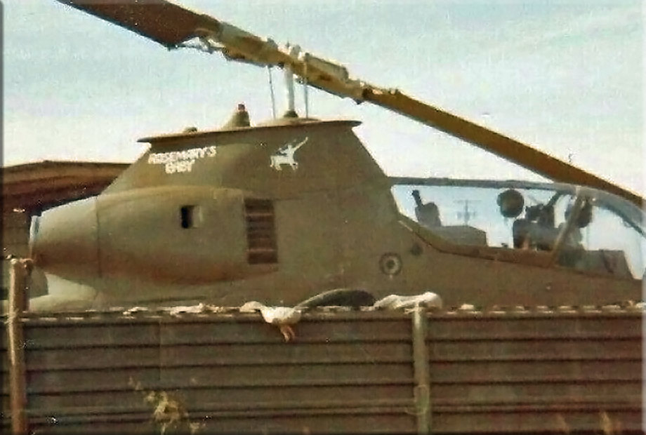 Index of /PhotoAlbums/Schmidgall Photos